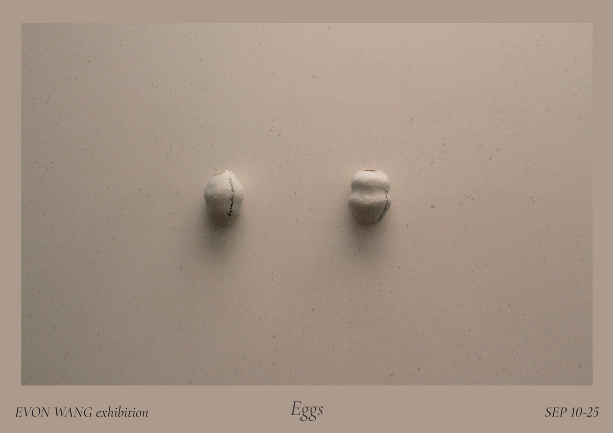 exhibition｜Eggs – EVON WANG